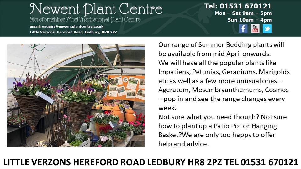 Newent Plant Centre – BestBusinesses